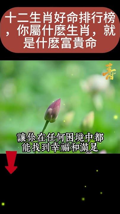 十二生肖好命排行榜，你屬什麽生肖，就是什麽富貴命！ 生肖 財運 運勢 Youtube