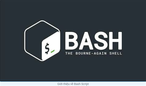 Bash Là Gì Khám Phá Môi Trường Bash Và 3 Cách Sử Dụng Cơ Bản