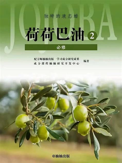 荷荷巴油的搜索结果 百度图片搜索