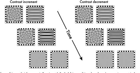 Figure From Detecting Contrast Changes In Invisible Patterns During