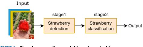 Figure 1 From Research On Strawberry Quality Grading Based On Object Detection And Stacking