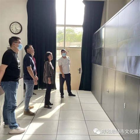 呼和浩特市文化旅游广电局开展“端午”节前办公区域安全巡查检查工作王菁设备全楼