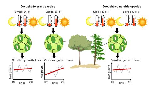 Nature Communications
