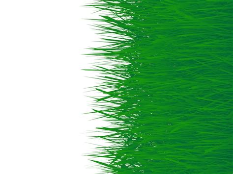 Premium Vector Green Grass Frame Isolated On White Background Vector