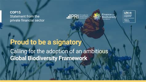 Cop15statement Cop15 Gbf Globalbiodiversityframework Capital Safi S A