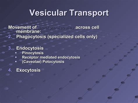 Membrane Dynamics Part 2 Ppt