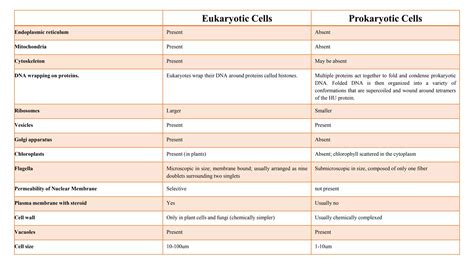 Prokayotes And Eukaryotes Ppt