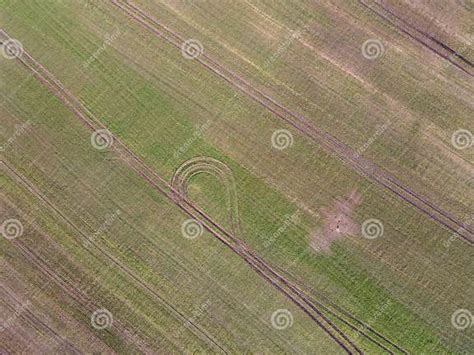 Aerial Top Down Of Grassy Meadow With Geometric Pattern In Brandenburg