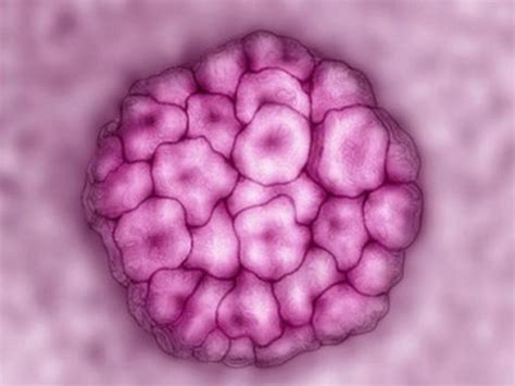 Cervical Cancer Australia ‘to Be First To Eliminate Disease Health