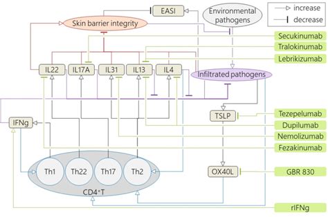Overview Of The Proposed Mathematical Model Details Of The Model