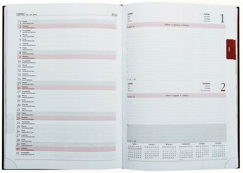 Купить Календарь А4 ЕЖЕДНЕВНЫЙ книжный планировщик 2023 отзывы фото и характеристики на Aredi