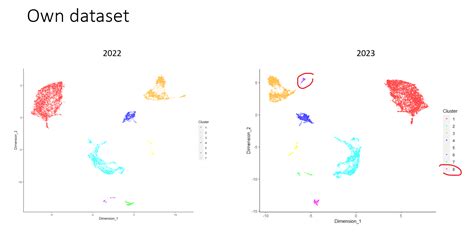 Updated Packages On The Same Computer Causes Umap To Cluster Differentely · Issue 6972
