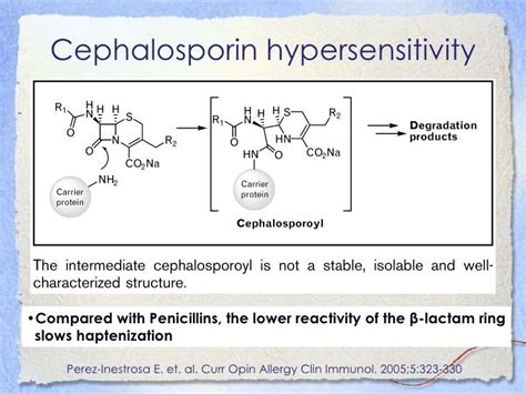 β Lactam Antibiotic Hypersensitivity Cross Reactivity