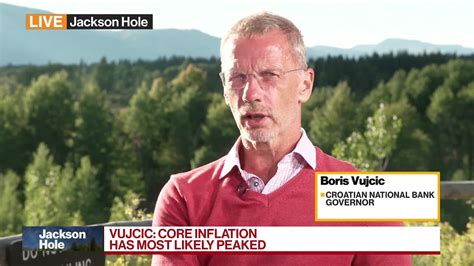 Ecbs Vujcic More Price Data Needed To Determine Interest Rate Peak The Global Herald