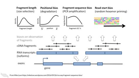 Chapter Bulk RNA Seq Choosing Genomics Tools