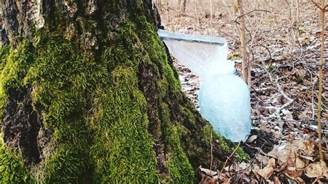 Premium Photo Close Up Of Frozen Sap In Glass Jar