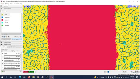 Help With Ilastik Pixel Training Usage And Issues Imagesc Forum
