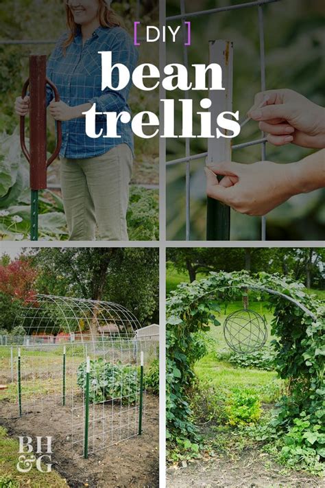How To Build A Bean Trellis That Adds Interest To Your Garden Vegetable Garden Trellis Diy