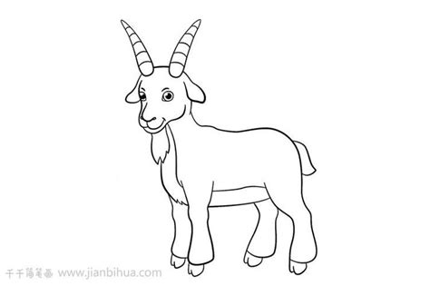 羊的简笔画是怎么画的笔画（漂亮18张） 简笔画图片大全