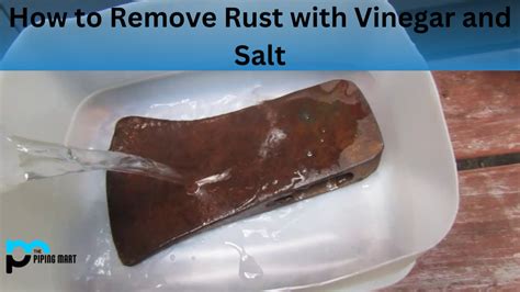 Rust Remover Experiment Citric Acid Vs Vinegar 55 OFF