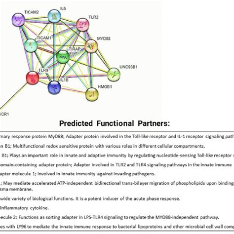 Protein Protein Interactions Of Tlr9 Protein The Figure Shows Download Scientific Diagram
