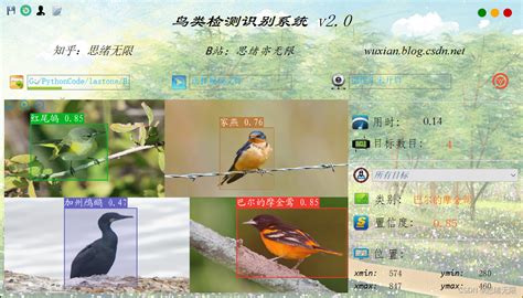 基于深度学习的鸟类检测识别系统（含ui界面，python代码） 阿里云开发者社区