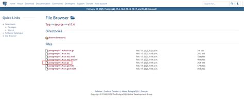 Postgresql下载与安装（liunx环境）postgresql 下载 Csdn博客