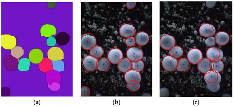 Agronomy Free Full Text A Novel Segmentation Recognition Algorithm