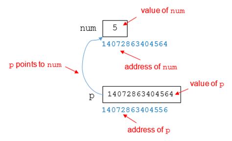 Addresses And Pointers