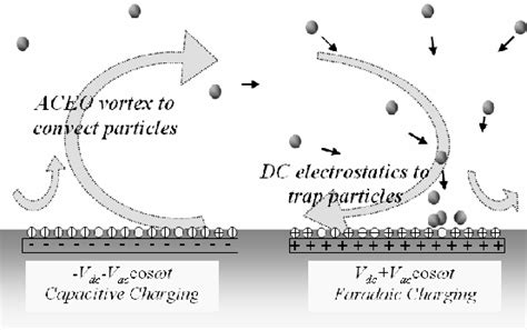 Figure 1 From High Sensitivity Particle Detection By Biased Ac Electroosmotic Trapping On