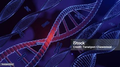 Dna Spiral Structure Dna Helix Complementary Strand Of Sequences Genetic Code Or Genome Gene