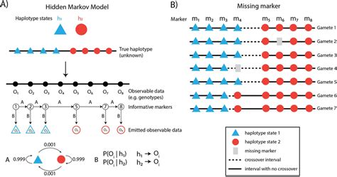 Statistical Methods For Crossover Detection Using A Hidden Markov