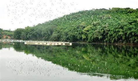 广西玉林博白县四个值得一去的旅游景点爱旅游的朋友不要错过了