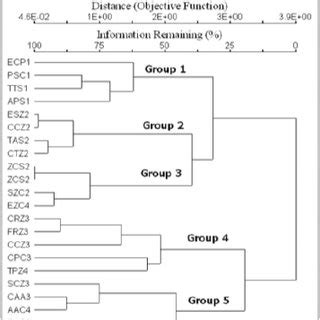 Two Way Cluster Dendrogram Showing Grouping Of Different Communities