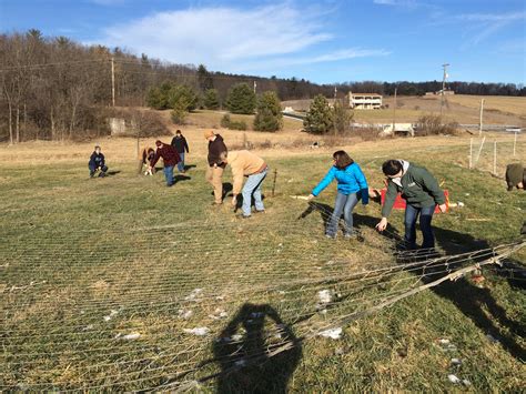 Penn State Deer Forest Study