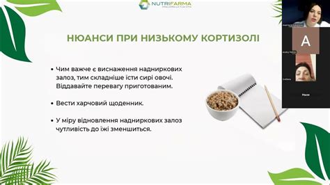 Заняття 11 Нирки та сечостатева система Youtube