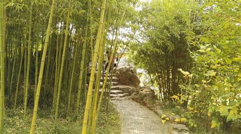 上海 古猗園都是江南園林的建築風格確實非常好看 每日頭條