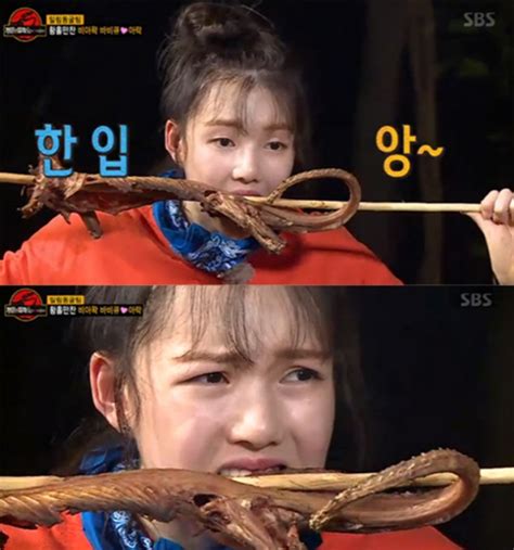 정글의 법칙서 여자친구 예린이 먹은 건 뭐 식용 도마뱀 비와악 글로벌이코노믹