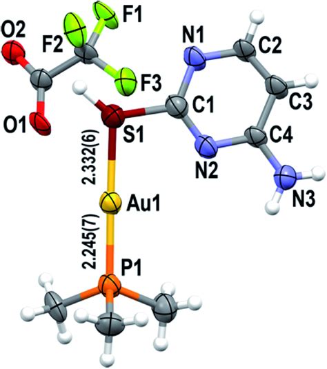Asymmetric Unit Of Complex 3 With The Labelling Scheme For The Atom