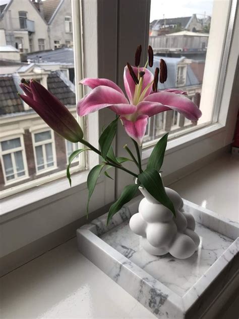 Marcel Wanders Moooi Vaas Egg Vase Large Catawiki