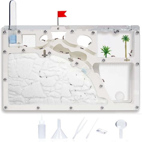 Ant Farm Castle Large Viewing Area Care For Live Ants Ant Colony
