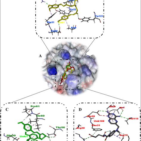 Details Of Binding Mode A Solvent Accessible Surface View B