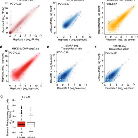 Genes And Tf Motif Enrichment Analysis In Activated B Cells A Kegg Download Scientific Diagram