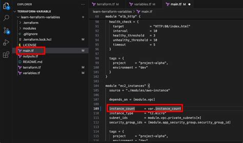 How To Use Variables To Customize Terraform Configuration Dev Community