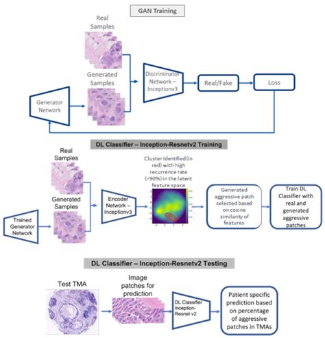 Predicting Breast Cancer Events In Ductal Carcinoma In Situ Dcis Using Generative Adversarial