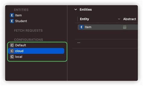 Core Data With CloudKit Syncing Local Database To ICloud Private Database