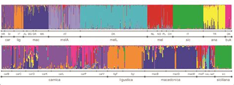 Bayesian Assignment Barplot Structure Showing Reference Populations