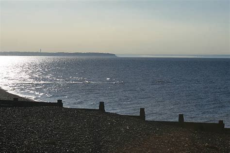 170개 이상의 러클버 스톡 사진 그림 및 Royalty Free 이미지 Istock