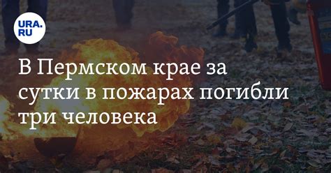 В Пермском крае за сутки в пожарах погибли три человека