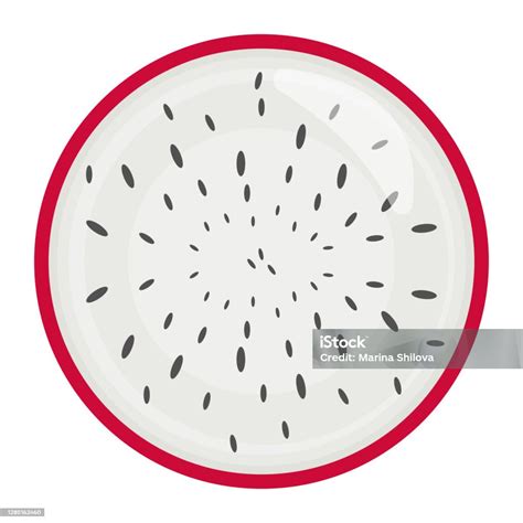 흰색 배경에 고립 된 드래곤 과일 슬라이스 아이콘 벡터 일러스트레이션 개념에 대한 스톡 벡터 아트 및 기타 이미지 개념 건강한 식생활 고급 Istock